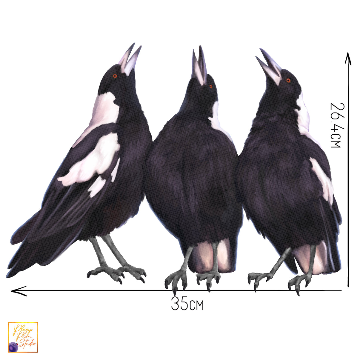 Australian Magpie Decal | Waterproof & Reusable Vinyl – Plump Plum Studio